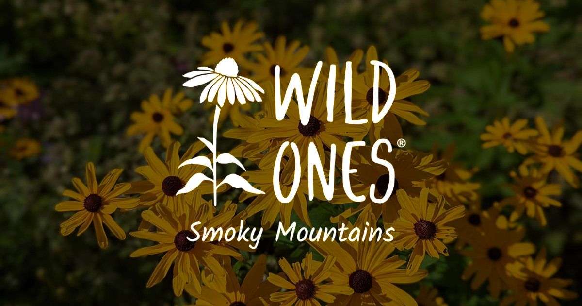 The Winter Tree Identification Walk at UT Arboretum in Oak Ridge – Wild ...