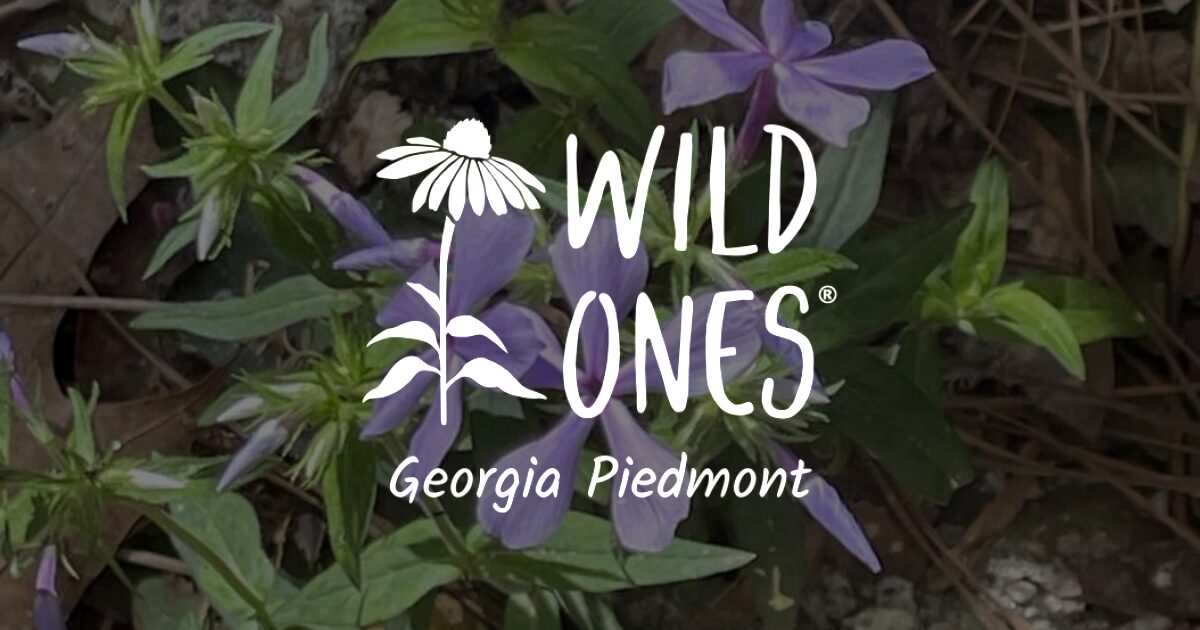 Piedmont Native Plants - Wild Ones Georgia Piedmont Chapter