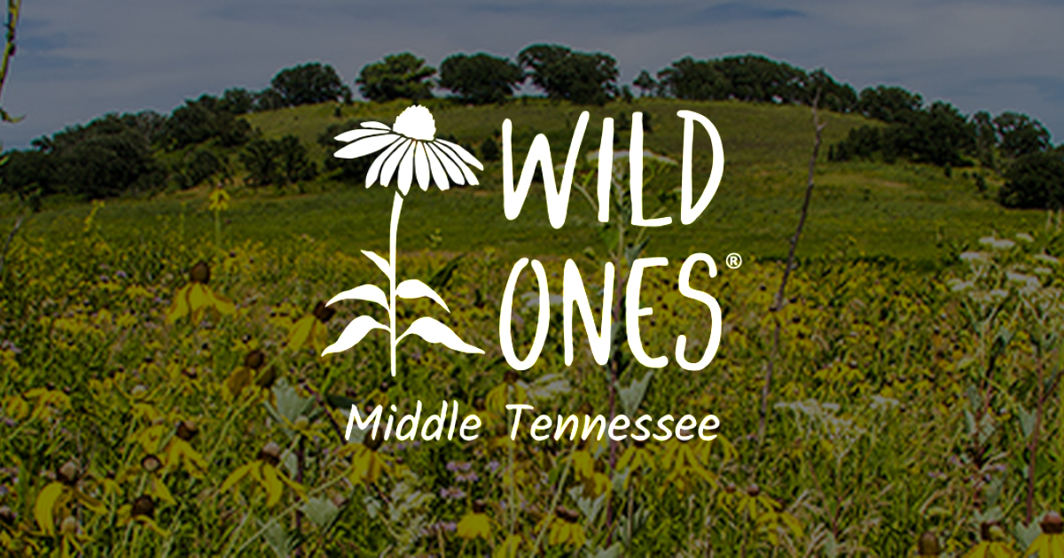 About Us – Wild Ones Middle Tennessee Chapter