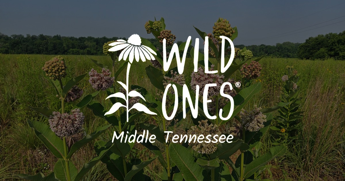 Tour of SGI Headquarters, APSU Herbarium and Native Garden, plus a ...