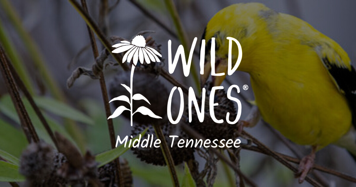 Plant Lists – Wild Ones Middle Tennessee Chapter