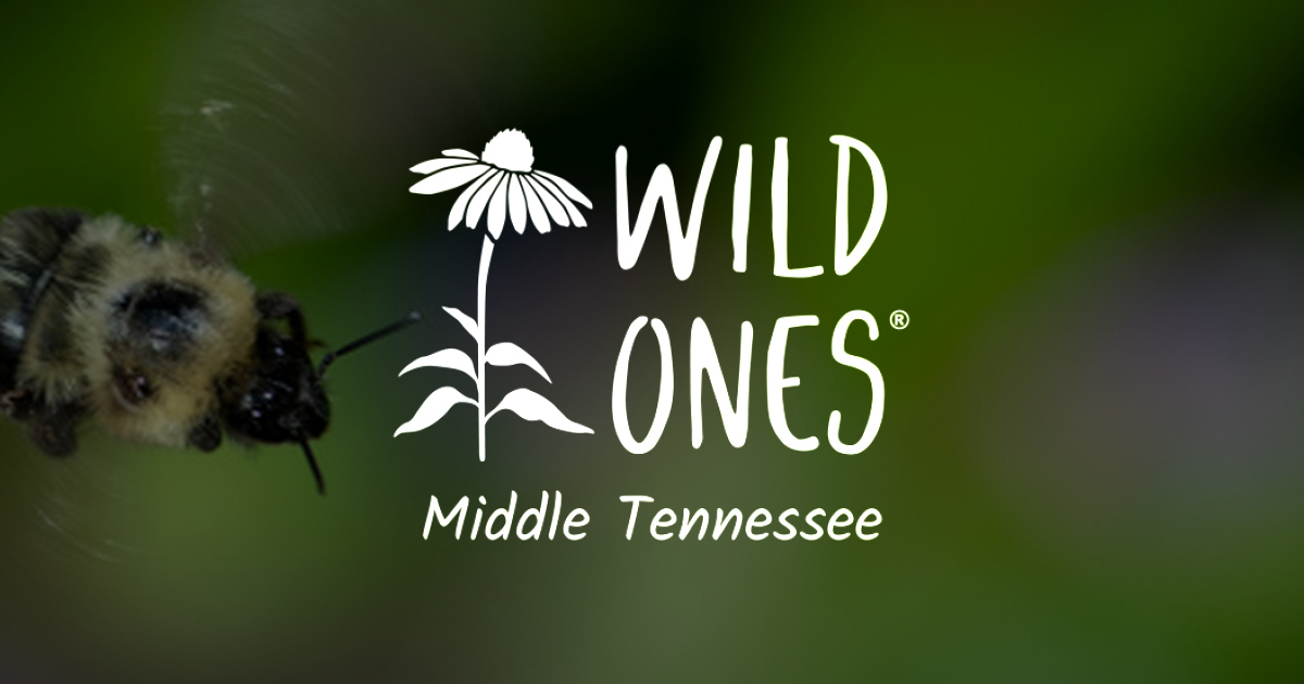 Specialist Bees – Wild Ones Middle Tennessee Chapter