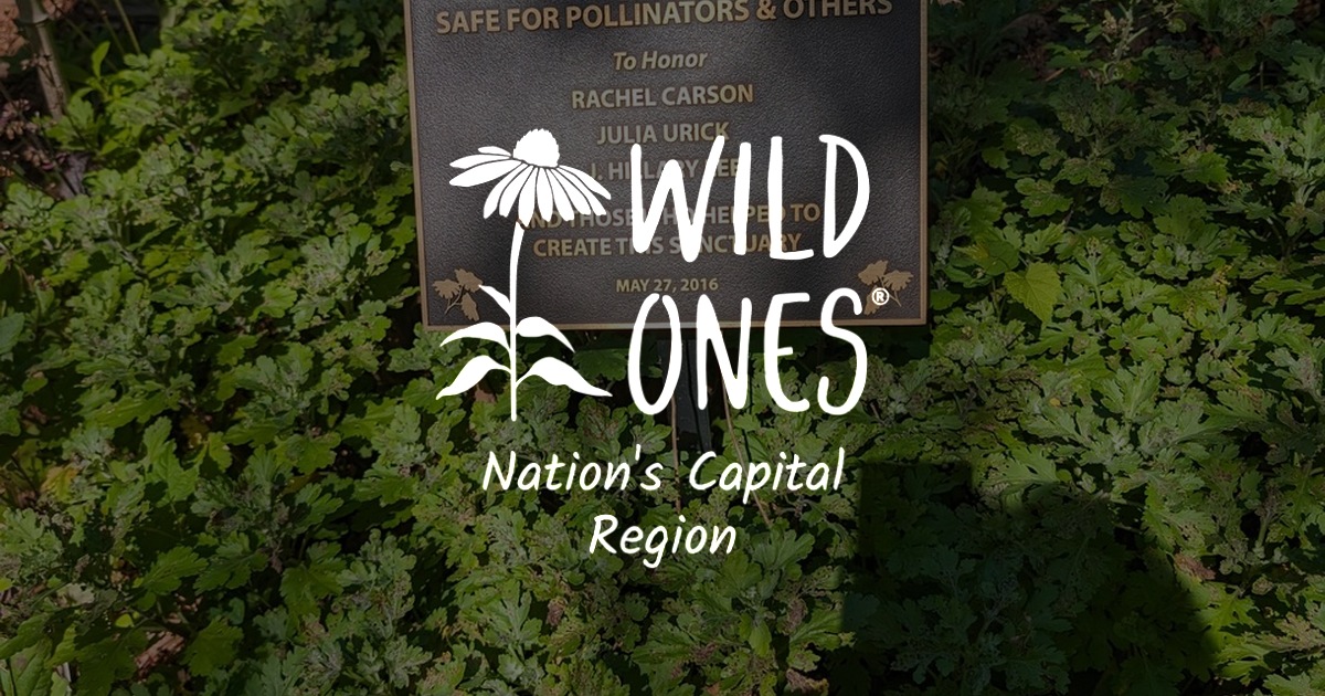June Tour of Rachel Carson House - Wild Ones Nation's Capital Region ...
