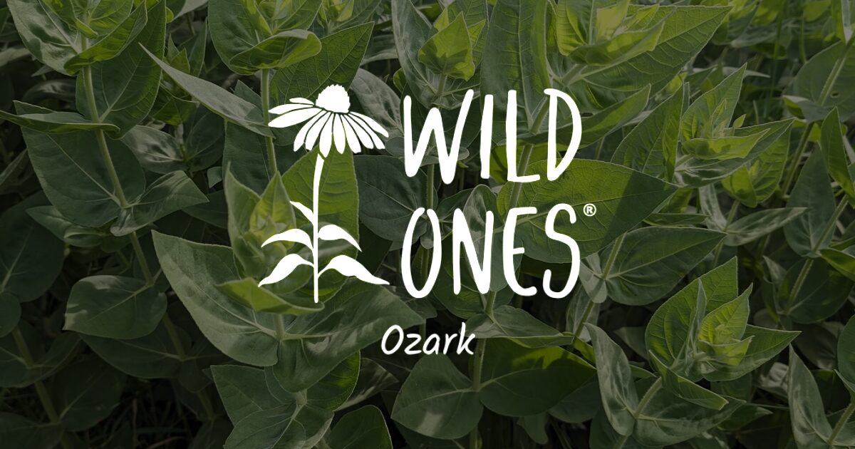 Form Over Flower – Wild Ones Ozark Chapter