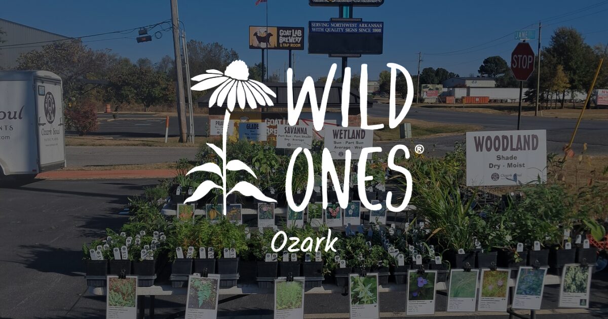 1st Annual Fall Native Plant Sale – Wild Ones Ozark Chapter