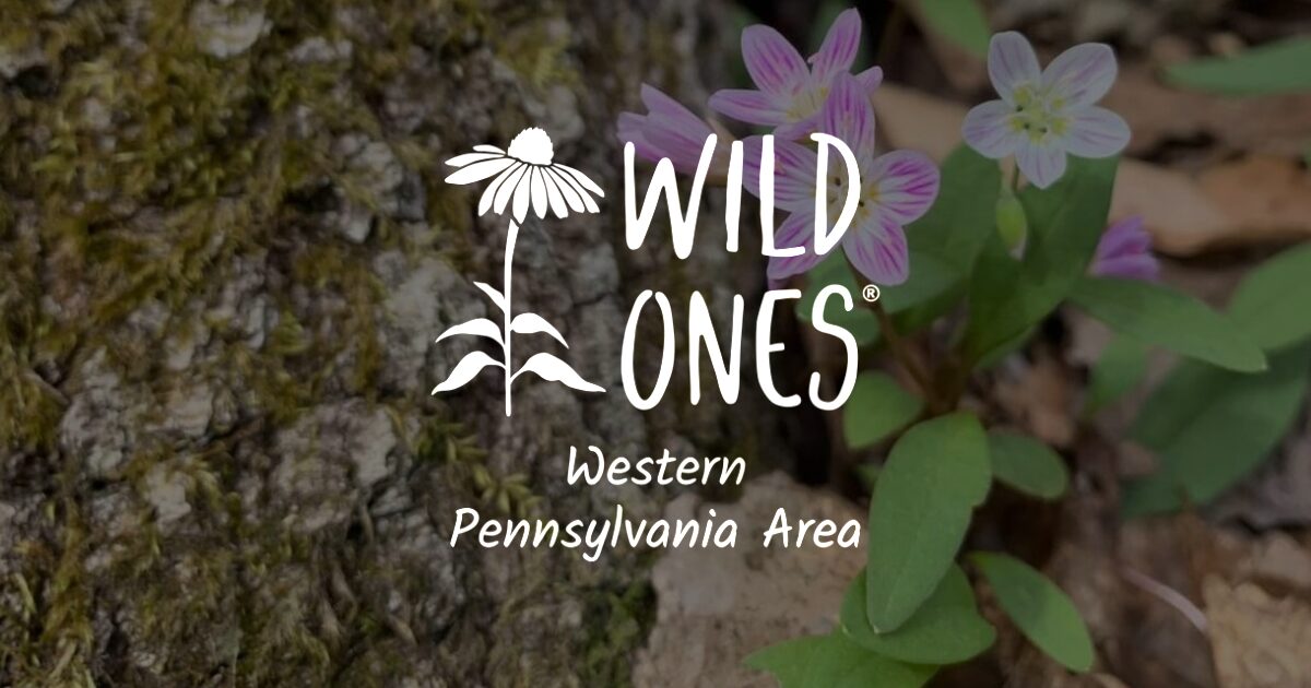 Spring Flower Walk at Raccoon Creek State Park - Wild Ones Western ...