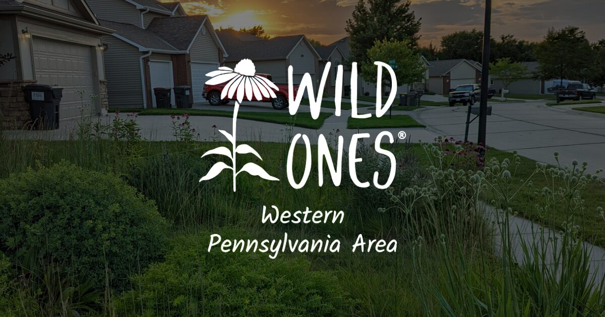 Introduction to Matrix Garden Design - Wild Ones Western Pennsylvania