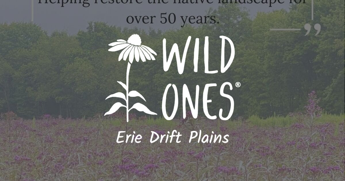 Ernst Seeds is a Local Native Plant Powerhouse - Wild Ones Erie Drift ...