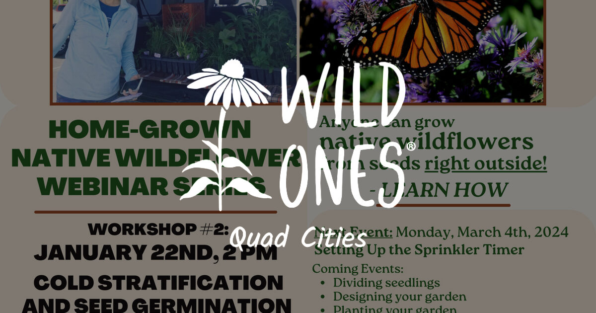 Take a Look: Project Wingspan - Wild Ones Quad Cities Chapter
