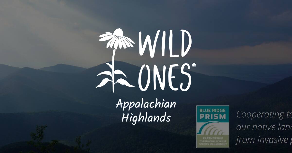 Invasive species Management with Rod Walker of Blue Ridge PRISM ...