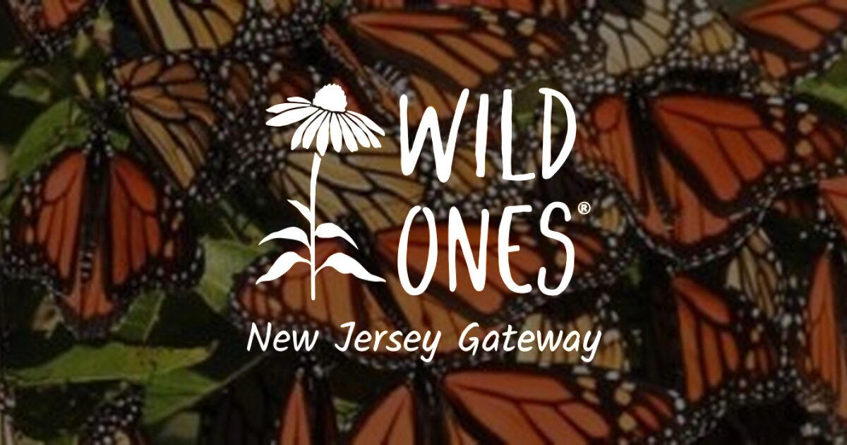 NJ Gateway achieves chapter status! - Wild Ones New Jersey Gateway Chapter