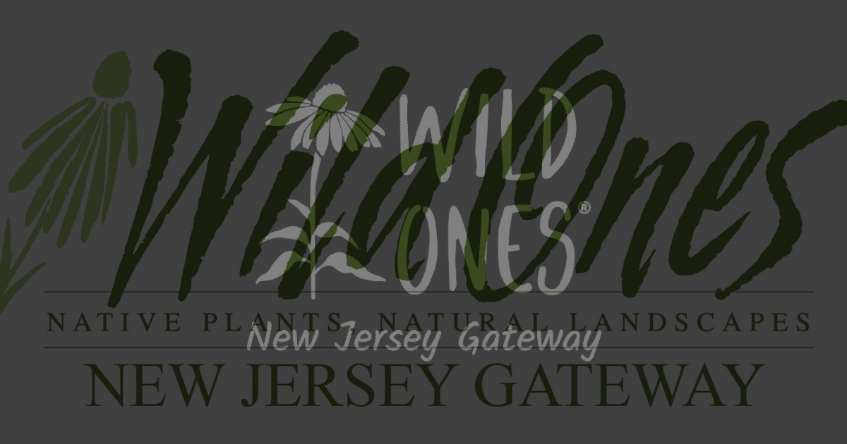 WildOnes NJ Gateway Chapter - Wild Ones New Jersey Gateway Chapter