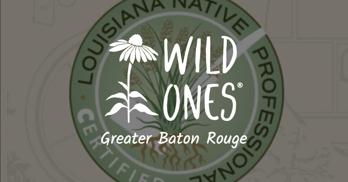Wild Ones Members Receive Native Plant Professional Certification ...