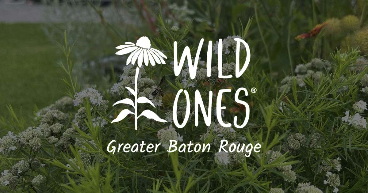 Native Plant Demonstration Beds at the LSU AgCenter Botanic Gardens ...