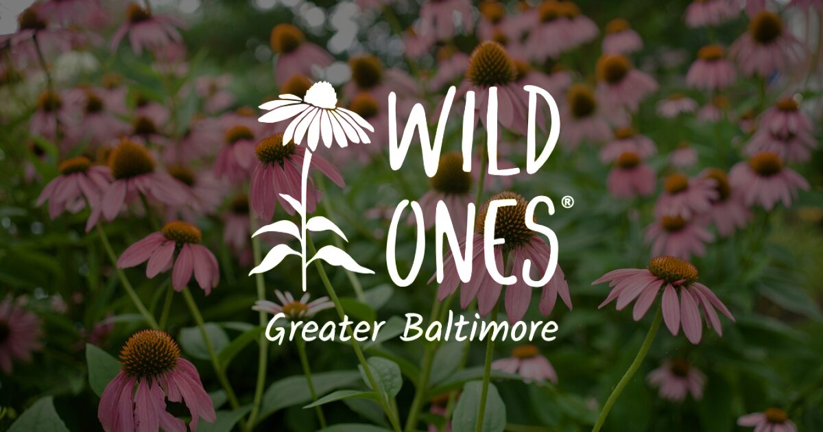 Native Plant Events - Wild Ones Greater Baltimore Chapter