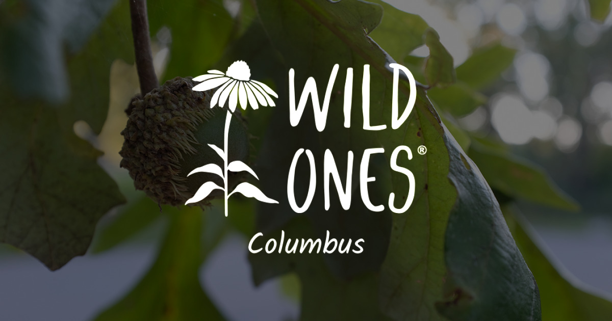 Resources – Wild Ones Columbus Chapter