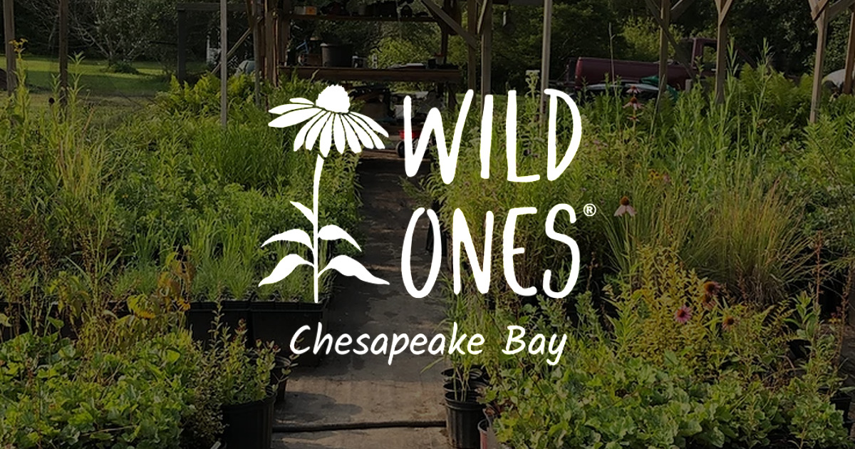 Please support our local native plant nurseries – Wild Ones Chesapeake ...