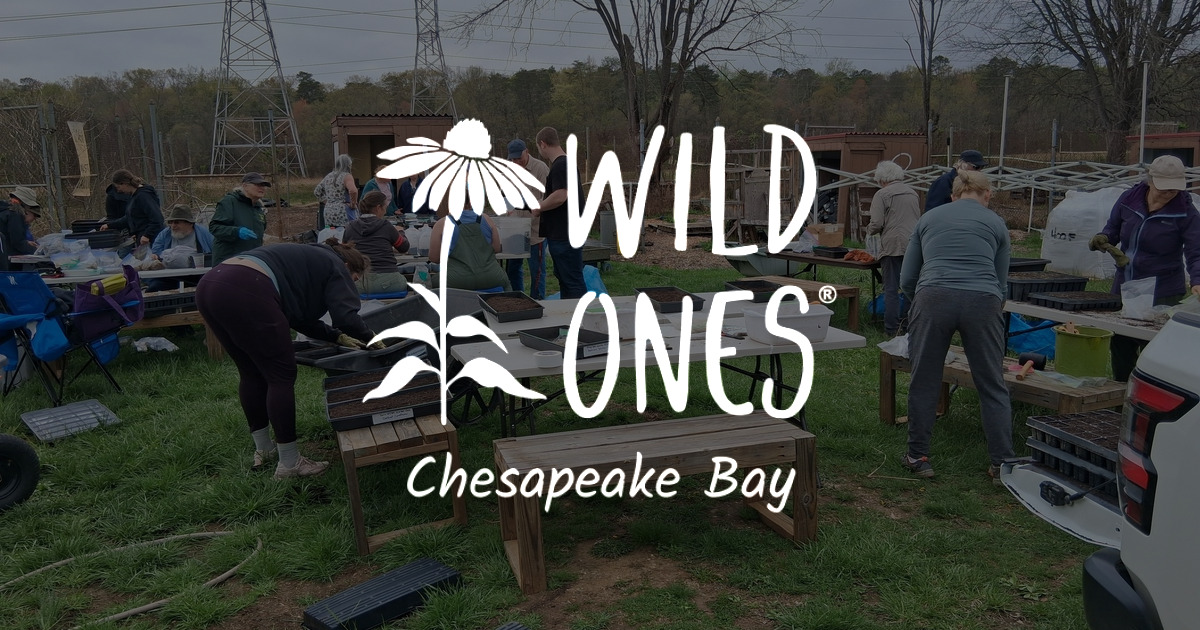 Native Plant Propagation at the USGS Bee Lab – 2025 – Wild Ones ...