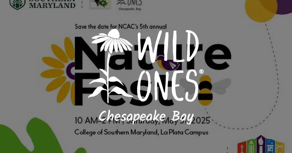 Deeply Rooted in NatureFest – Wild Ones Chesapeake Bay Chapter