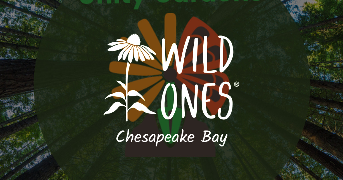 Unity Gardens – Cultivating Communities, One Native Garden at a Time ...