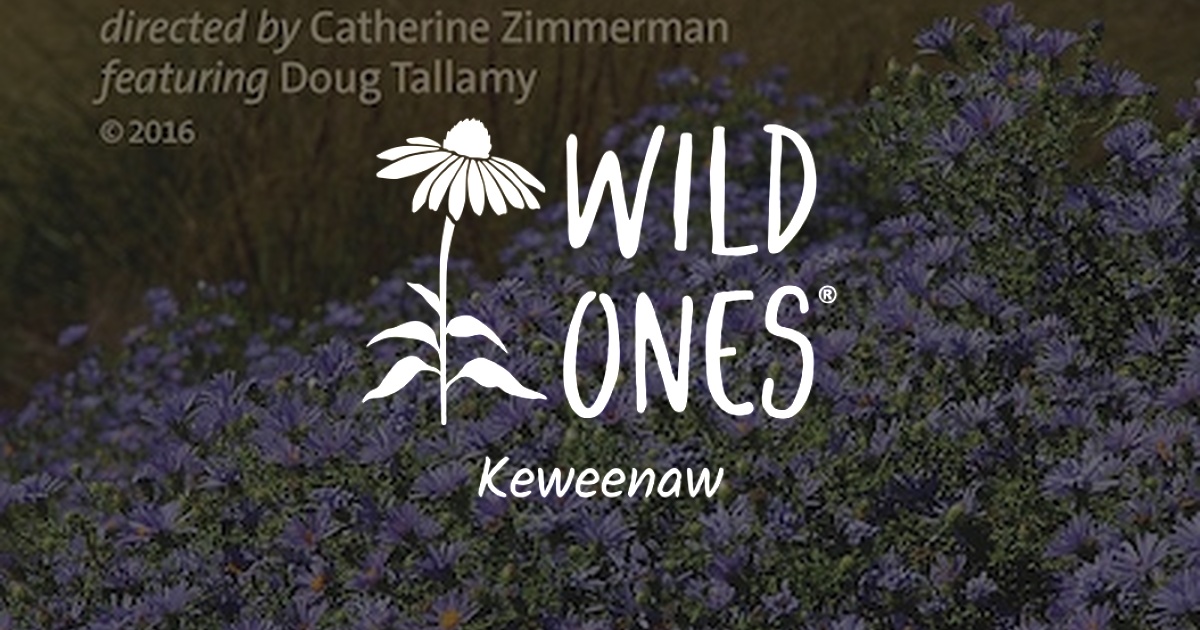 Start in Your Yard - Wild Ones Keweenaw Chapter