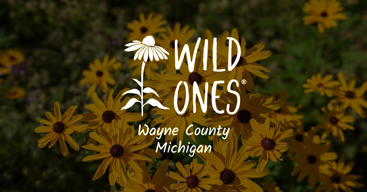 Results from 2024 Elections – Wild Ones Wayne County Chapter