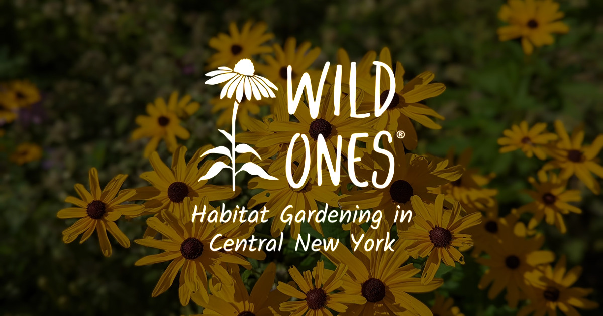 Garden Buddies Program – Wild Ones Habitat Gardening in Central NY Chapter