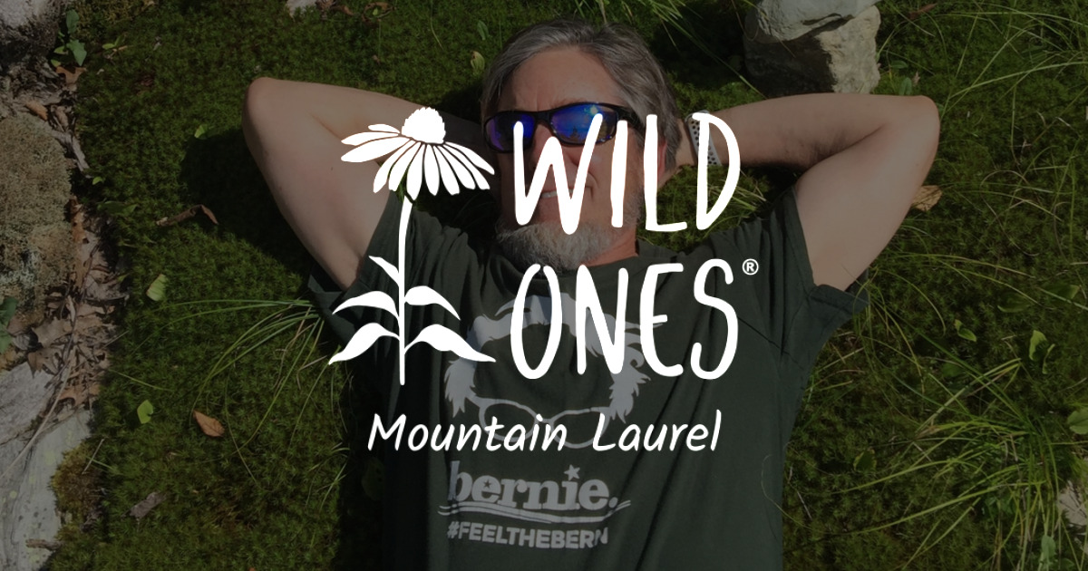 Gardening with Mosses and their Cronies in Stony New England Landscapes ...