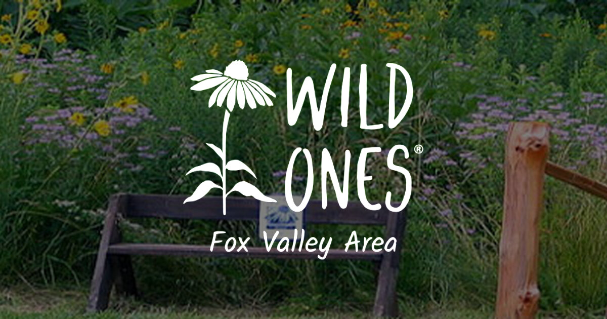 Newsletter – Wild Ones Fox Valley Area Chapter