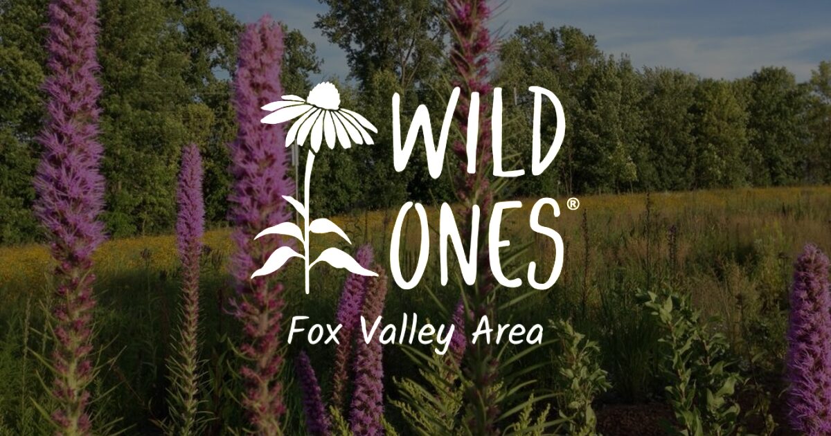 Wild Ones Fox Valley Area Chapter – Healing the Earth one yard at a time.