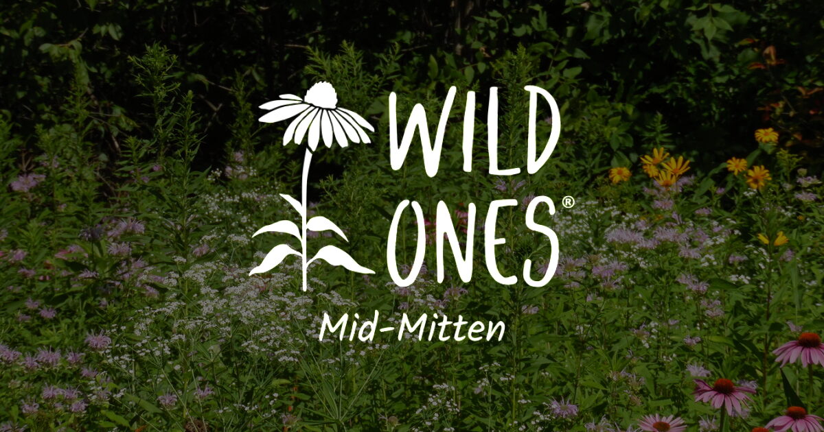 Native Plant Garden Grant – Wild Ones Mid-Mitten Chapter