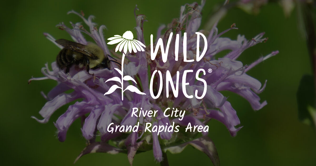 NPEG Volunteer Sessions - Wild Ones River City - Grand Rapids Area Chapter