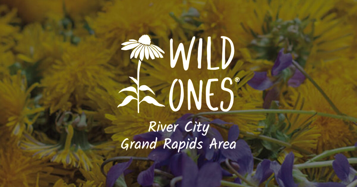 Foraging Playing Cards - Wild Ones River City - Grand Rapids Area Chapter