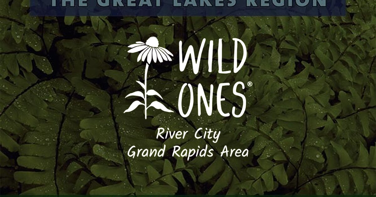 Michigan Ferns and Lycophytes - Wild Ones River City - Grand Rapids ...