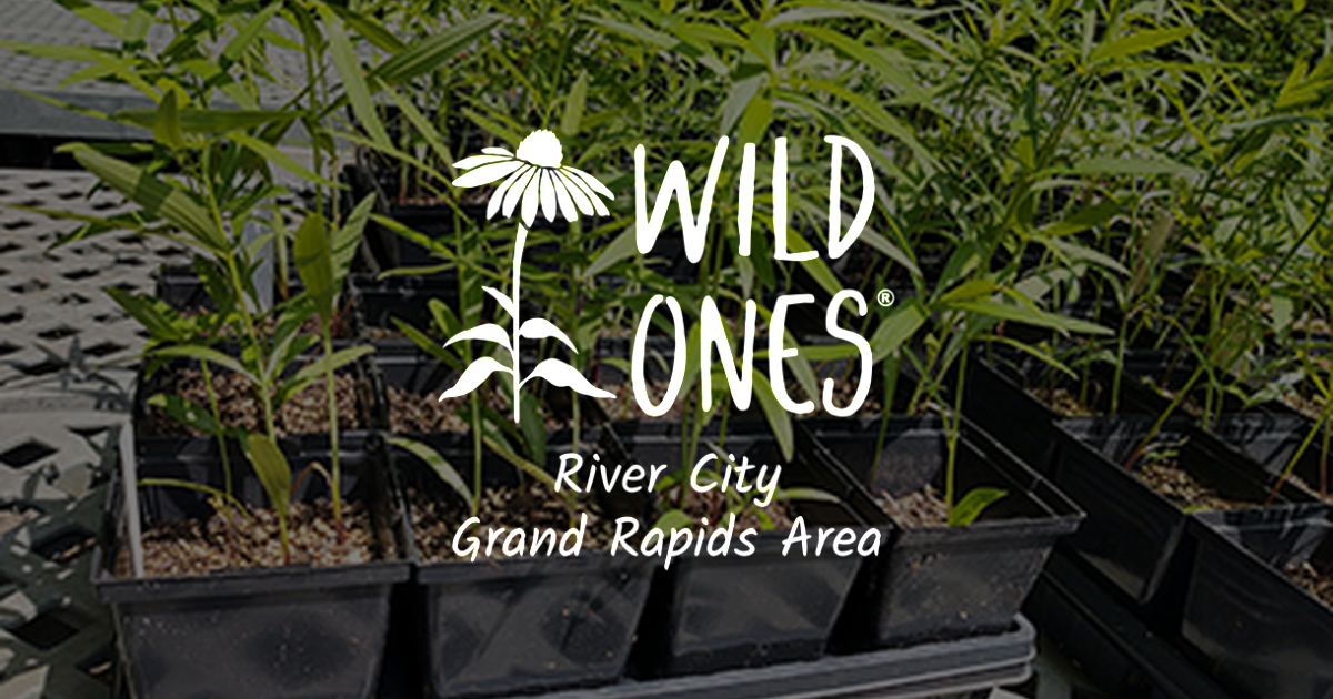 Michigan Native Plant Vendors - Wild Ones River City - Grand Rapids ...