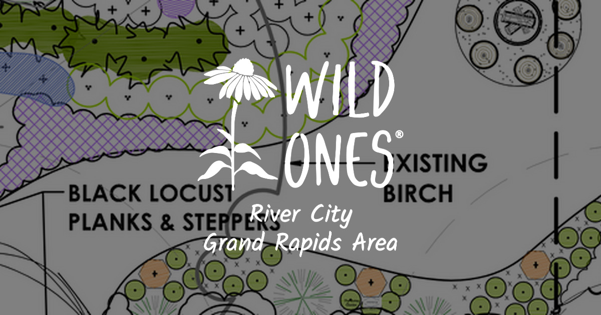 New Native Garden Design by Two Wild Ones Members! - Wild Ones River City - Grand Rapids Area ...