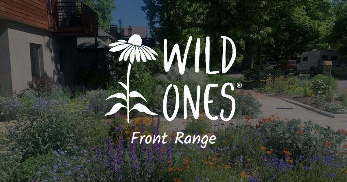 Mulch for Your Colorado Native Plant Garden (Post) - Wild Ones Front ...