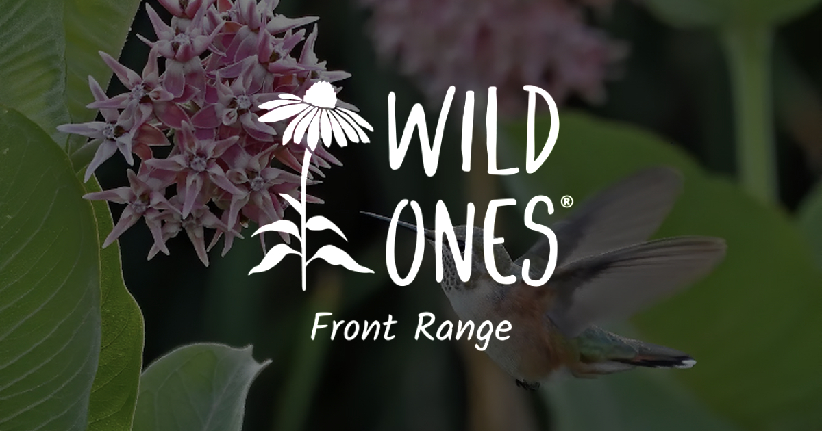 Native Plants for Hummingbirds - Wild Ones Front Range Chapter