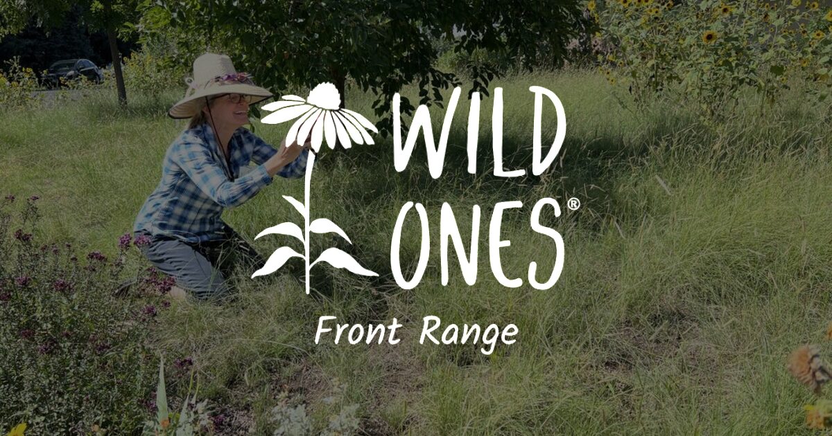 Plant ID Apps - Wild Ones Front Range Chapter