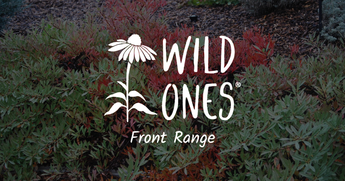 How Native Should My Garden Be? - Wild Ones Front Range Chapter