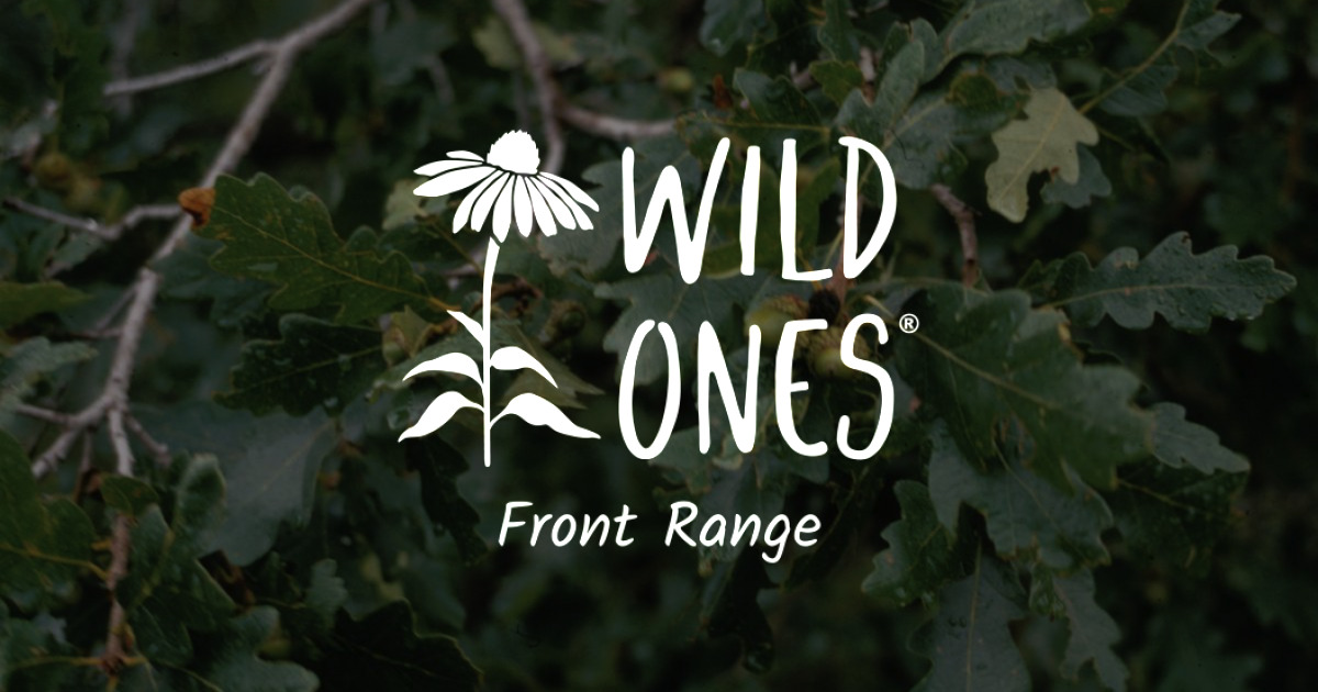Colorado Native Oaks, Again! - Wild Ones Front Range Chapter