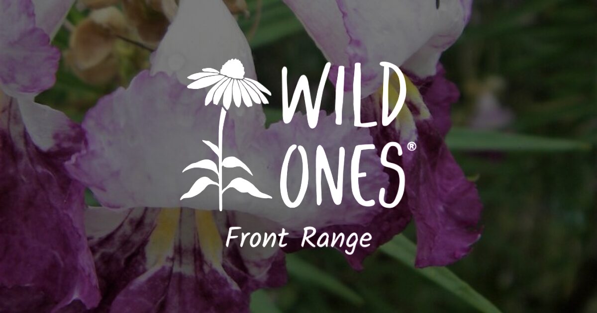 More Thoughts on the Assisted Migration of Native Plants - Wild Ones ...