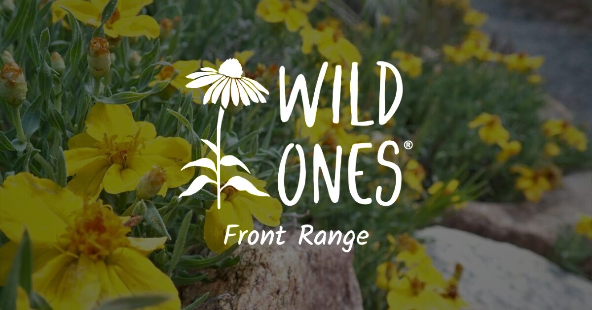 Colorado Native Plants in Pocket Prairies - Wild Ones Front Range Chapter