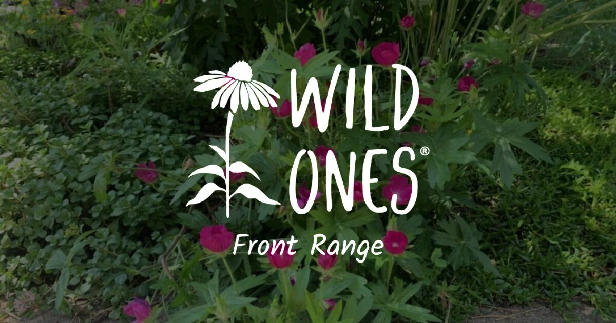 Colorado Native Plants in the Shade - Wild Ones Front Range Chapter
