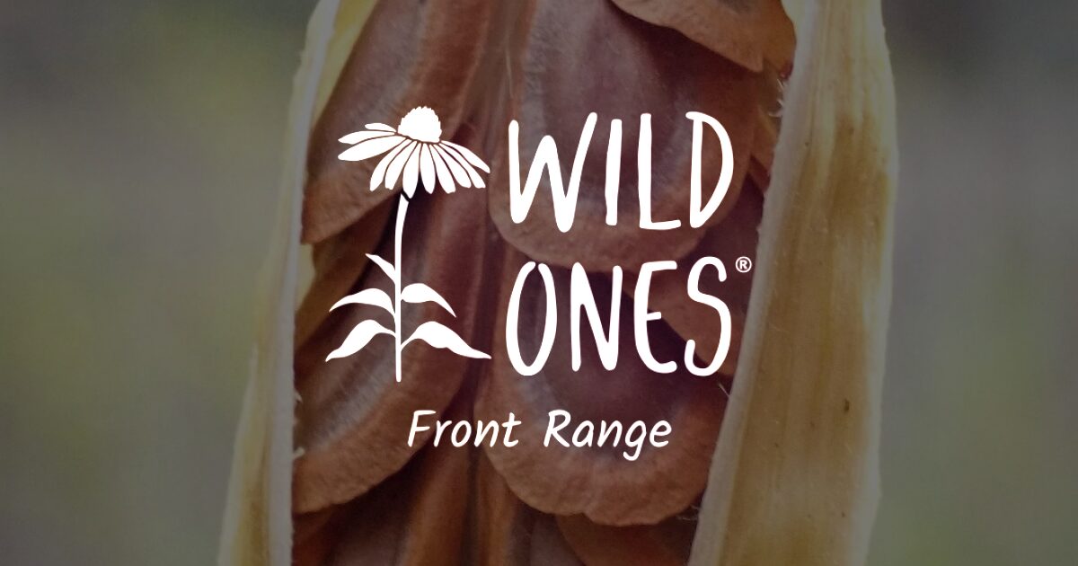 NATIVE PLANT SEED COLLECTION AND GERMINATION - Wild Ones Front Range ...