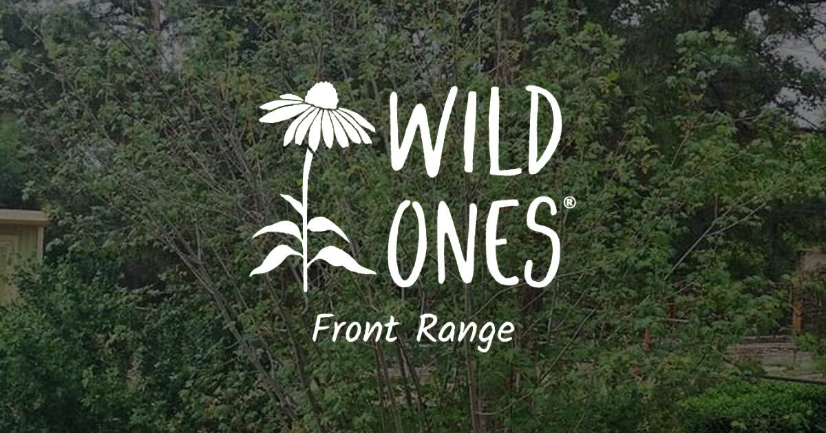 Colorado Native Plants that Tolerate Shade - Wild Ones Front Range Chapter