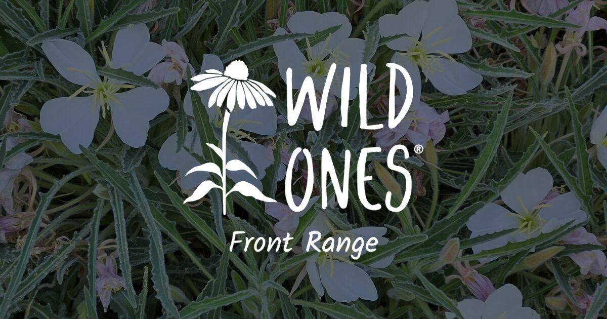 Colorado Native Plant Species Sheets - Wild Ones Front Range Chapter