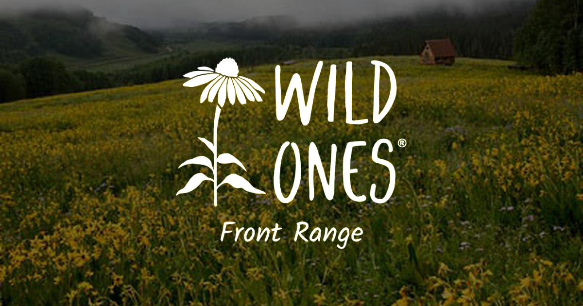 Learn to Love Yellow Composites - Wild Ones Front Range Chapter