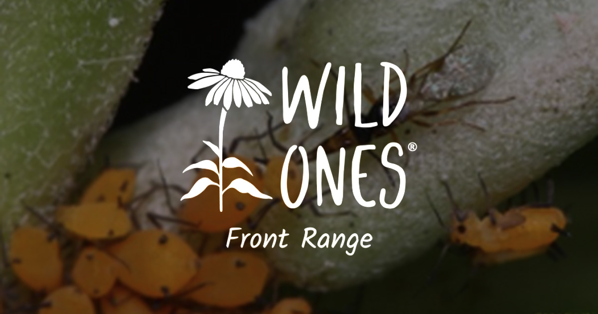 Attracting Beneficial Insects with Native Plants - Wild Ones Front ...