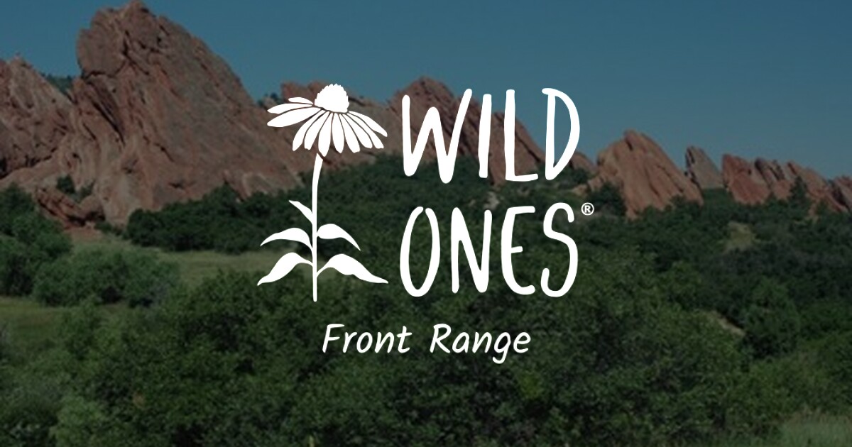 Plant Spotlight: Gambel Oak - Wild Ones Front Range Chapter